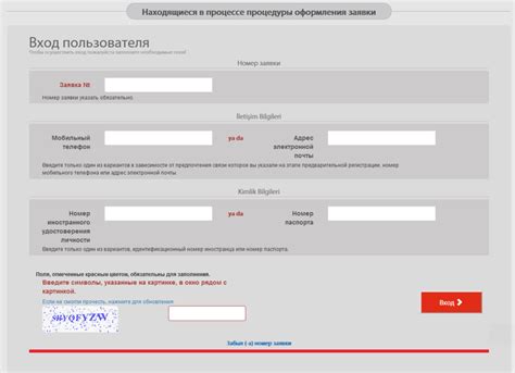 Проверить статус ВНЖ икамета в Турции 2024 Turkey Faq