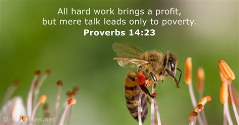 Proverbs 1423 Bible Verse