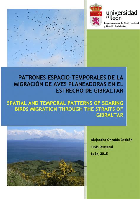Pdf Patrones Espacio Temporales De La MigraciÓn De Aves Planeadoras En El Estrecho De