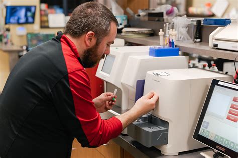 About Us Animal Emergency Care Aec Bellingham Wa