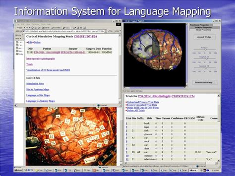 Ppt 3 D Visualization Of Functional Brain Map Data Powerpoint Presentation Id824030