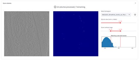Area Selective Template Matching — Pom 100 Documentation