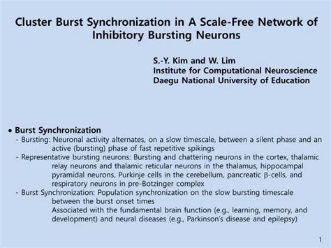 Ppt Cluster Burst Synchronization In A Scale Free Network Of Inhibitory Powerpoint