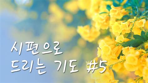 시편으로 드리는 기도 5 Youtube