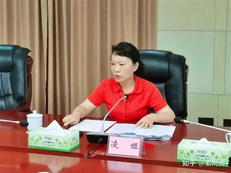 高新集团副董吴兵被查，老婆凌娅投案，“太子奶”事件真相显现 知乎