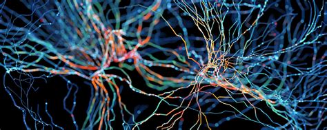 Applied Machine Learning Certificate Prepares Professionals For Data