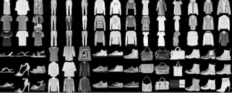 Cnn Using Fashion Mnist Dataset Have You Ever Thought That Biology