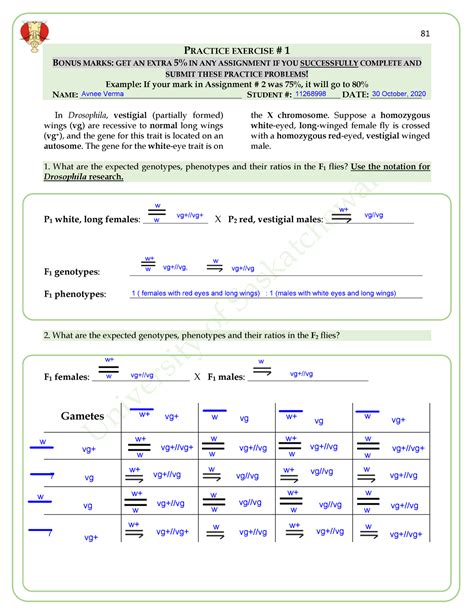 Problem Solving Lab Works For Biol 226 81 Practice Exercise 1 Bonus