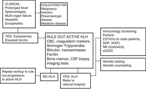 Haemophagocytic Syndromes The Importance Of Early Diagnosis And