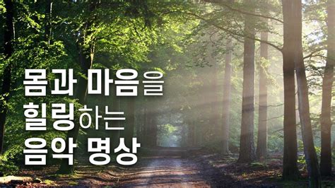 몸과 마음을 힐링하는 명상음악 생명의 소리 Youtube