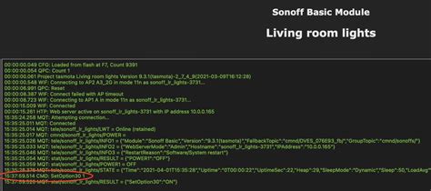 Home Assistant Tasmota Integration How To Kiril Peyanskis Blog