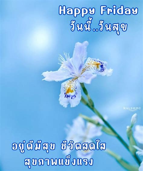 ปักพินโดย Nonmai Ka Baimon ใน Hello O ทักทายสวัสดี คำคมติดตลก สวัสดีตอนเช้า วันศุกร์