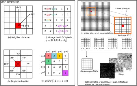 Gray Level Co Occurrence Matrix A Different Distances D And B Depicts