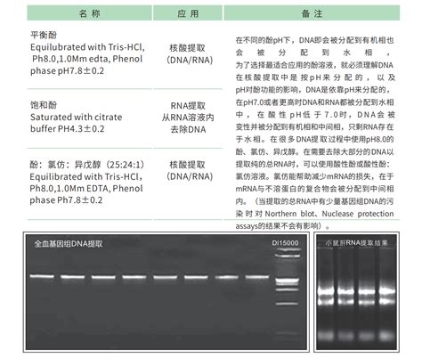 杭州博日科技股份有限公司