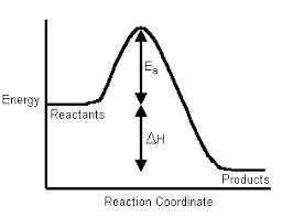 Enthalpy Of Dissociation Archives The Fact Factor