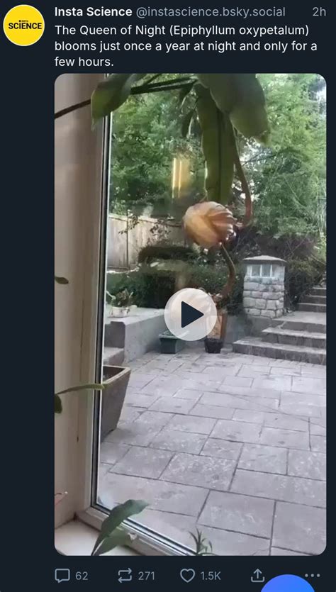 Thats Pretty Neat Album On Imgur