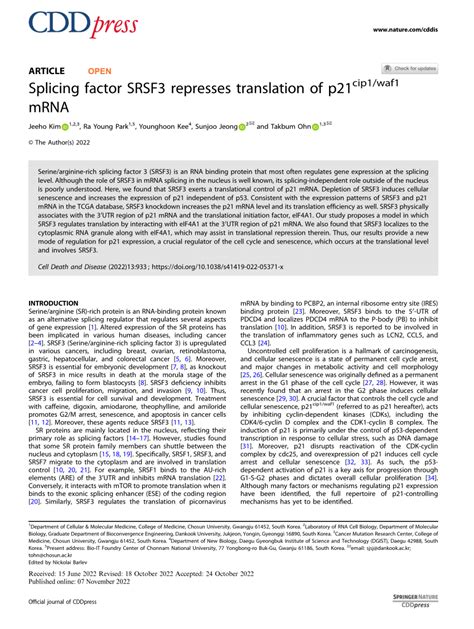 Pdf Splicing Factor Srsf3 Represses Translation Of P21cip1 Waf1 Mrna