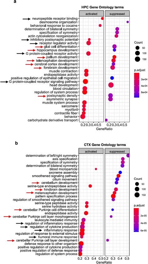 Transcriptome Profiling Provides Further Evidence Of Download Scientific Diagram