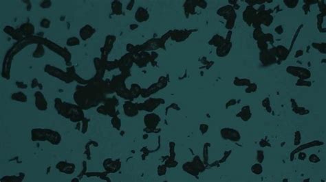 HPMC Basic Indicators Characteristics And Common Adulteration Methods And Identification