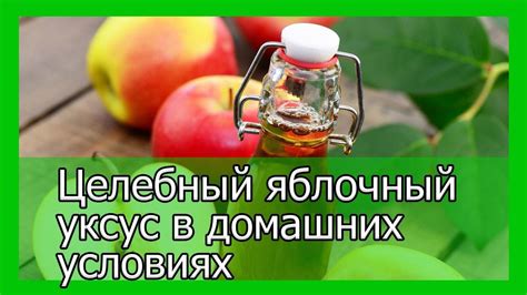 Простейший рецепт приготовления целебного яблочного уксуса Рецепты Уксус Яблочный уксус