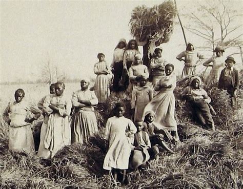 Events Leading Up To The Colonisation Of Australia Timeline Timetoast