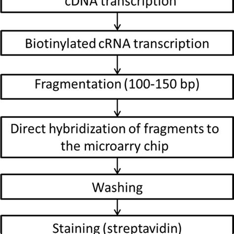 The Schematic Procedure Of Microarray Preparation Download Scientific Diagram