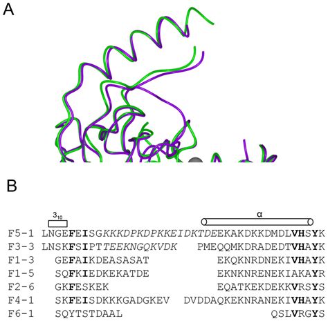 Structure And Alignment Of The Frpb Hypervariable Sequence Regions A