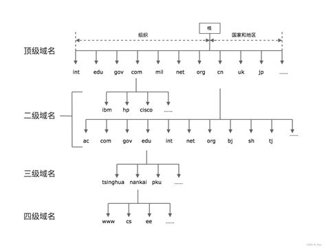 02 网络编程模型：认识客户端 服务器网络模型的基本概念 客户端服务器模型 csdn博客