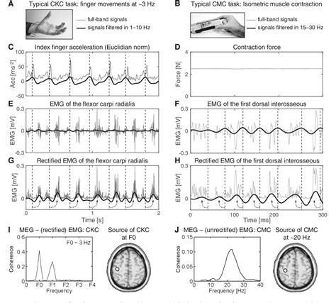 Figure 2 From Coupling Between Human Brain Activity And Body Movements Semantic Scholar