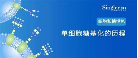 和糖悦色 单细胞糖基化的历程 知乎
