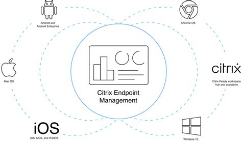 Citrix Enterprise Networks Solutions