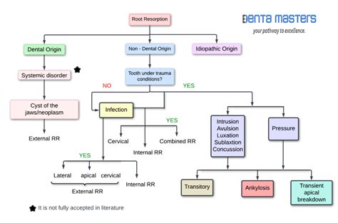 External Root Resorption Dentamasters
