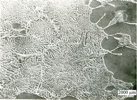 Basic Structure Basic Structure Download Scientific Diagram