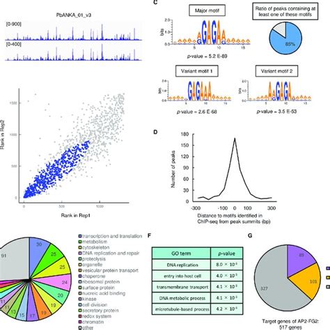 Chip Seq Analysis Using Pbap2 Fg2gfp A Igv Images Showing Peaks