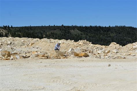 Fossil Hunting At American Fossil Quarry • A Crock Of Schmidt
