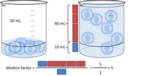 Using The Dilution Factor To Calculate Dilutions Hemocytometer