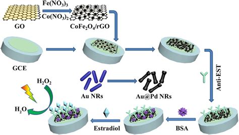 The Fabrication Procedure Of The Label Free Electrochemical