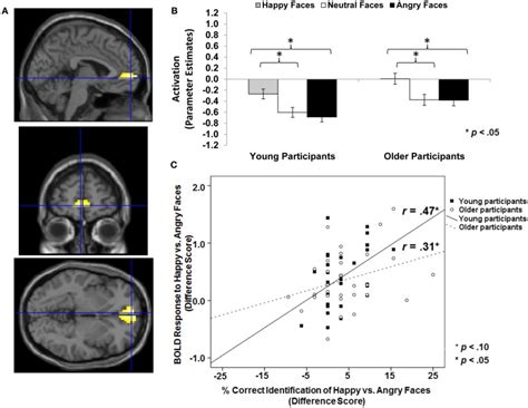 Area Of Vmpfc Where Happy Faces Angry Faces T Contrast A Left Download Scientific