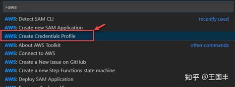 Amazon Toolkit — Codewhisperer 使用人工智能亚马逊云科技 Amazon Web Services