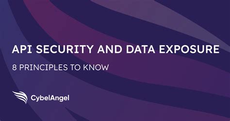 Api Security And Data Exposure 8 Principles To Know