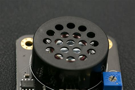 Digital Speaker Module Philippines Circuitrocks