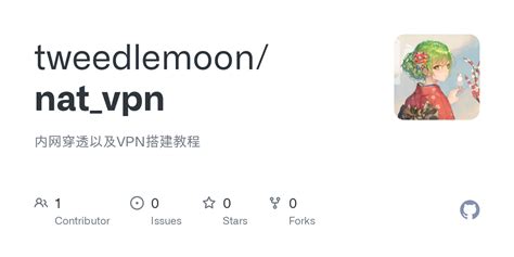 GitHub tweedlemoon nat vpn 内网穿透以及VPN搭建教程