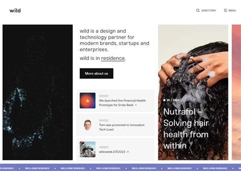 Wild Narrow Labs Web Design Inspiration