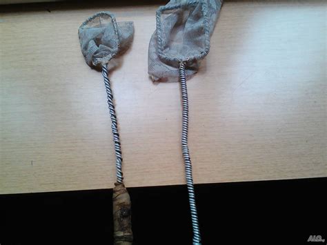 продавам кепове за аквариумни рибки Рибки Аквариуми София Голямото е за 2 лв Малкото