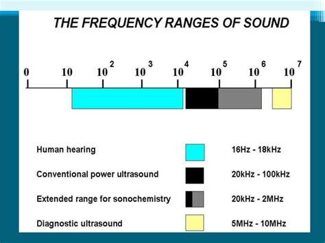 B Scan PPTX Eye And Vision Conditions Diseases And Conditions
