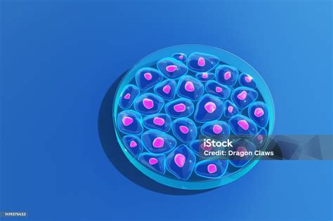 유리 페트리 접시 에서 자라는 유기체의 세포 생물학적 실험의 개념 예시 디스크에 대한 스톡 사진 및 기타 이미지 Istock