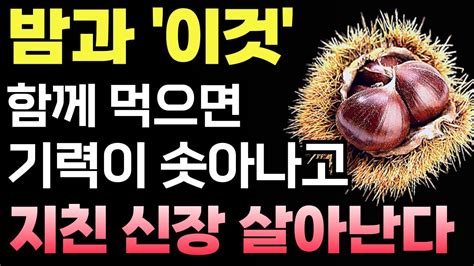 밤과 함께 먹으면 보약되는 음식top 5 밤 찌는법 밤 껍질 알맹이만 쏙 빠지게 하는 방법 생밤보관 벌레없이 1년내내 햇밤 맛 오래 보관하는법 건강 음식🌰