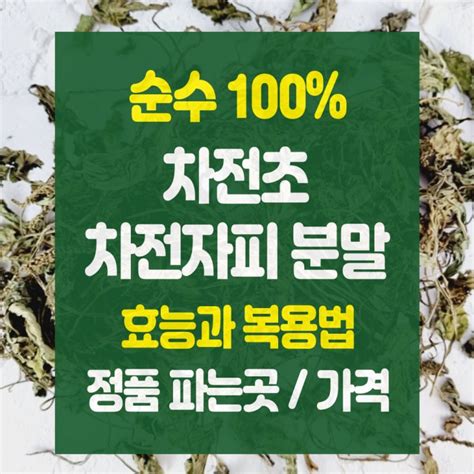 식이섬유 차전차피 효능과 먹는법 질경이 차 끓이는 방법 네이버 블로그