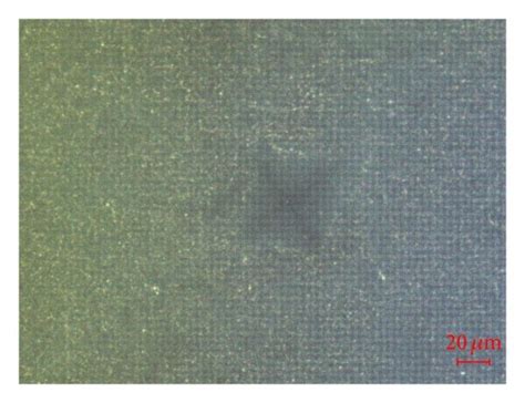 optical microscope of the zro2 ceramics with addition of 5 wt tio2