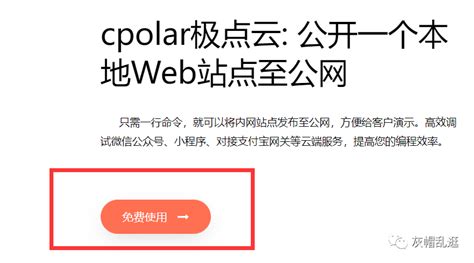 轻松实现内网穿透：实现远程访问你的私人网络私网穿透 Csdn博客